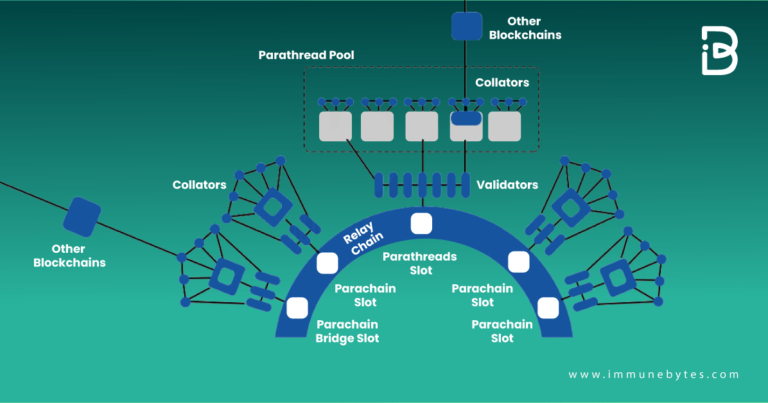 What is Polkadot? A Brief Introduction – ImmuneBytes