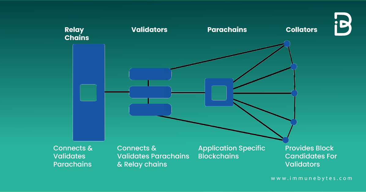 What is Polkadot? A Brief Introduction – ImmuneBytes