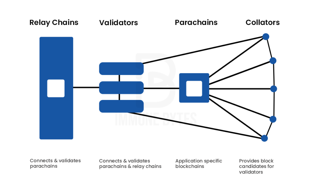 What is Polkadot? A Brief Introduction - ImmuneBytes