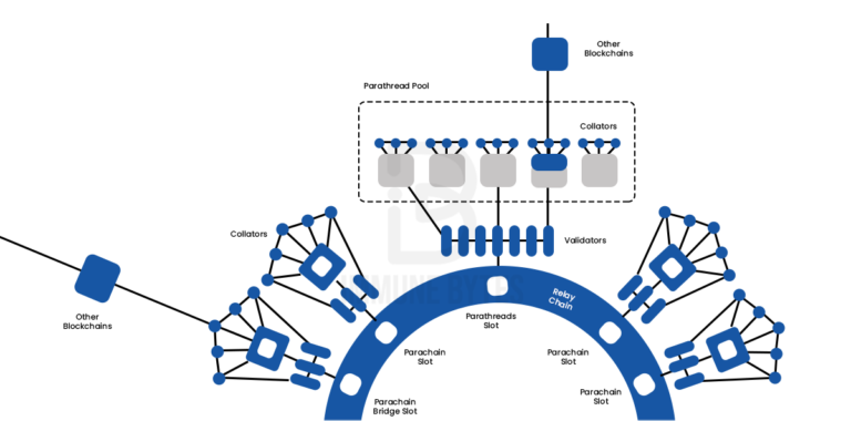 What is Polkadot? A Brief Introduction - ImmuneBytes