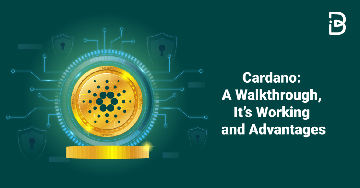 Cardano: A Walkthrough, It’s Working and Advantages – ImmuneBytes