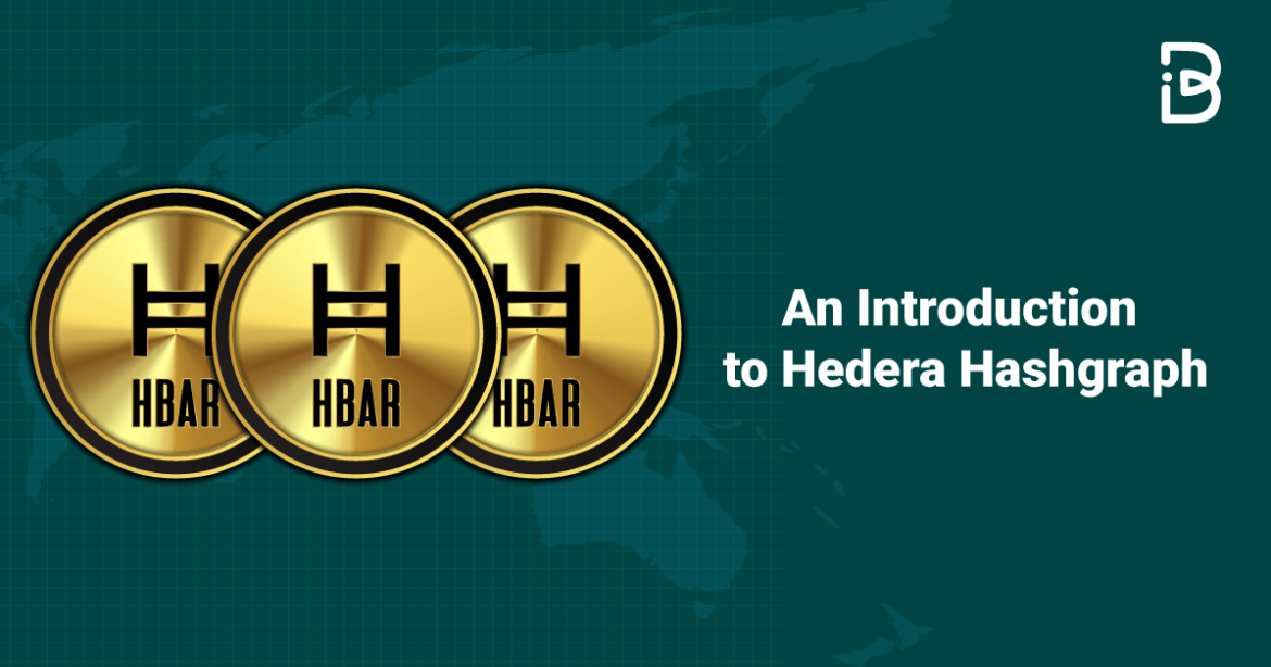 An Introduction to Hedera Hashgraph – ImmuneBytes