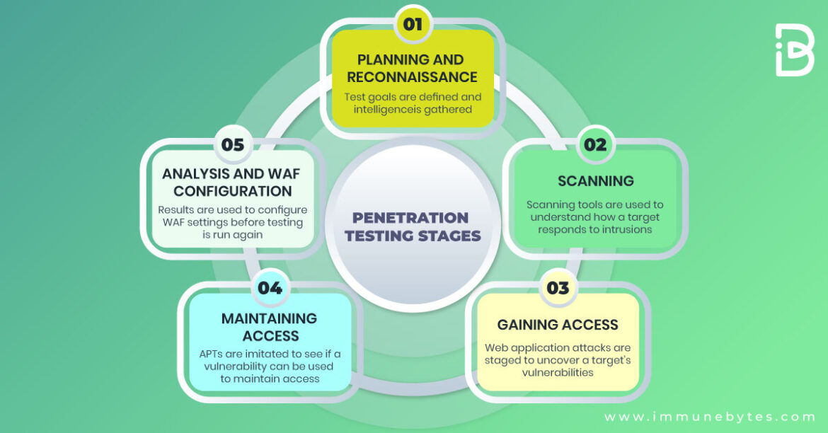 A Beginner’s Guide to Penetration Testing – ImmuneBytes