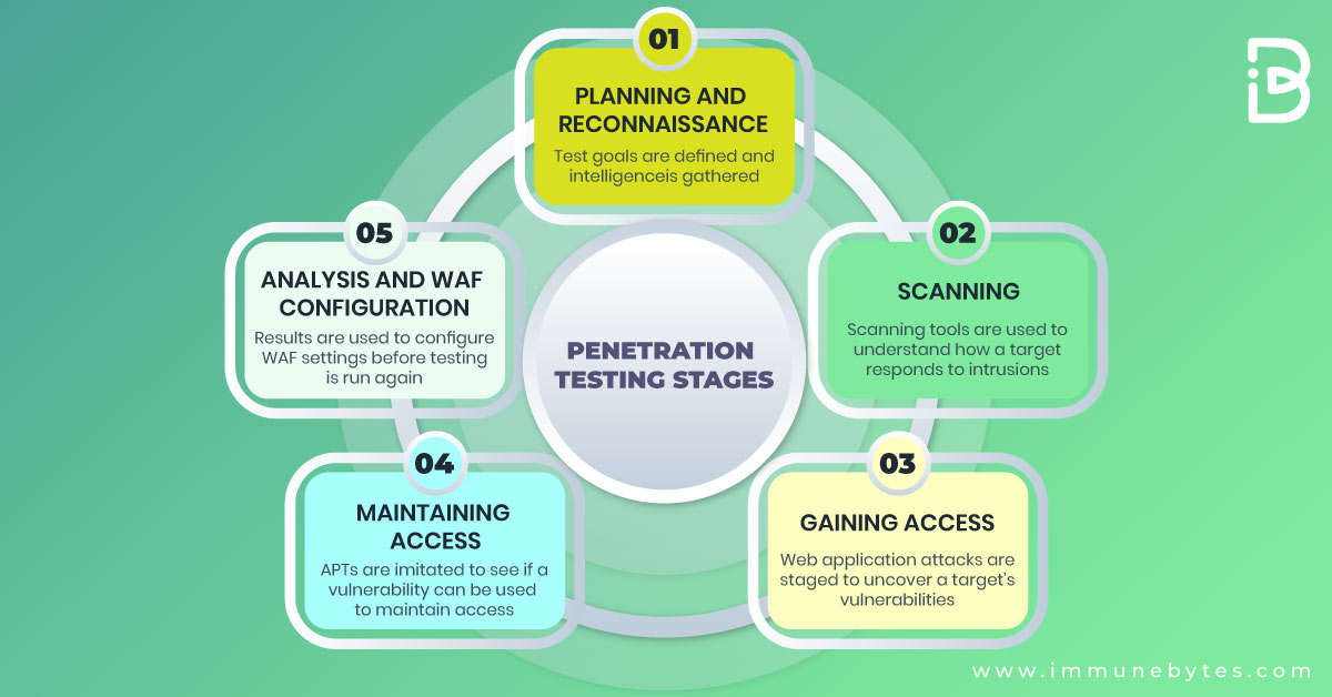 A Beginner’s Guide to Penetration Testing – ImmuneBytes