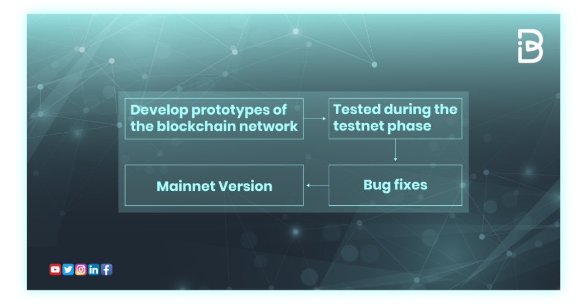 Mainnet Vs Testnet: What's the Difference?
