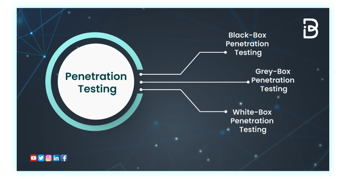 Top 3 Types of Penetration Testing: You Must Know