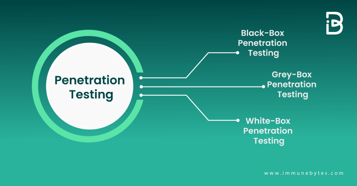 Types of Penetration Testing You Must Know About – ImmuneBytes