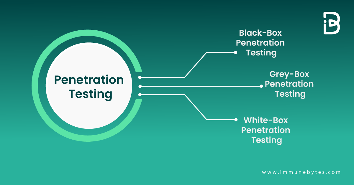 Types of Penetration Testing You Must Know About – ImmuneBytes