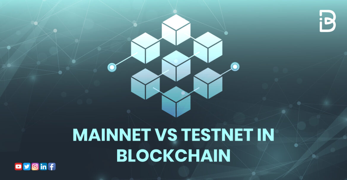 Mainnet Vs Testnet: What's the Difference?