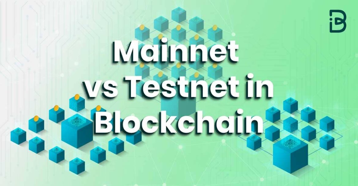 Mainnet Vs Testnet: What's the Difference?