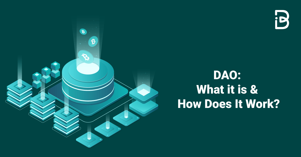 DAO: What it is & How Does It Work? – ImmuneBytes