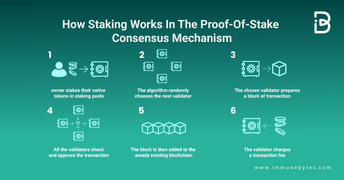 Analyzing Polygon’s Proof of Stake Network (PoS) – ImmuneBytes