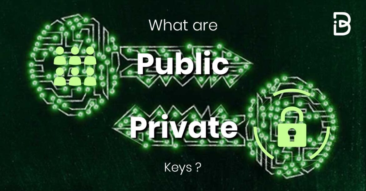 Public and Private Keys: What's the Difference? ImmuneBytes