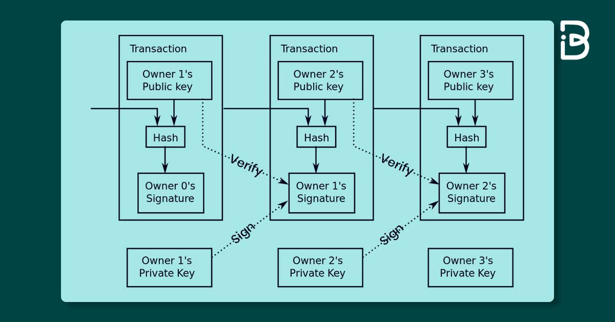 Public and Private Keys: What's the Difference? ImmuneBytes