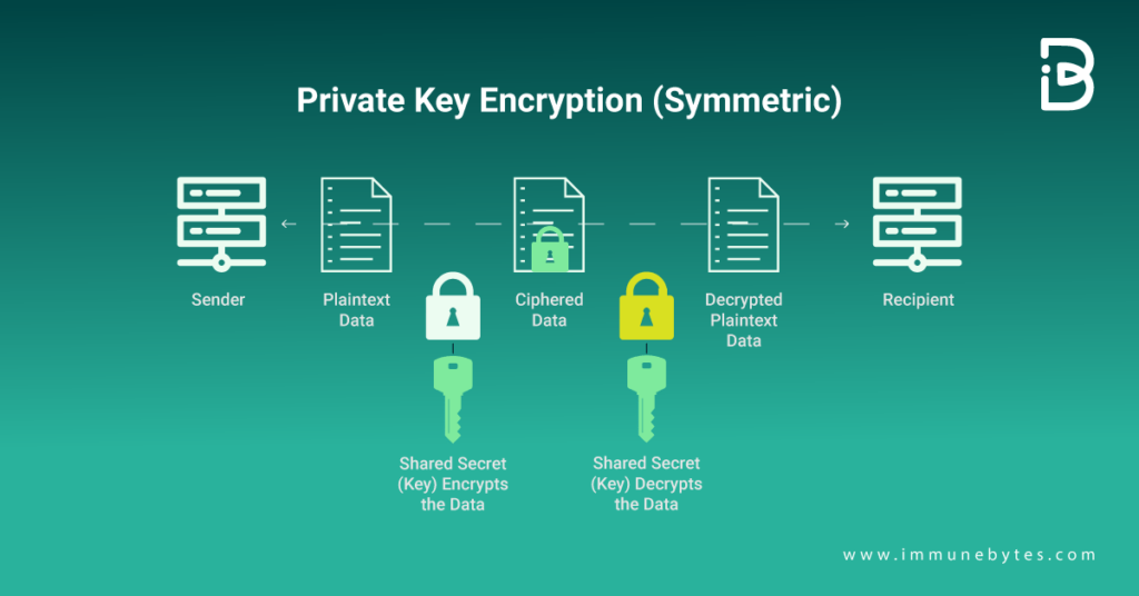 Public and Private Keys: A Must Know In Cryptography! – ImmuneBytes