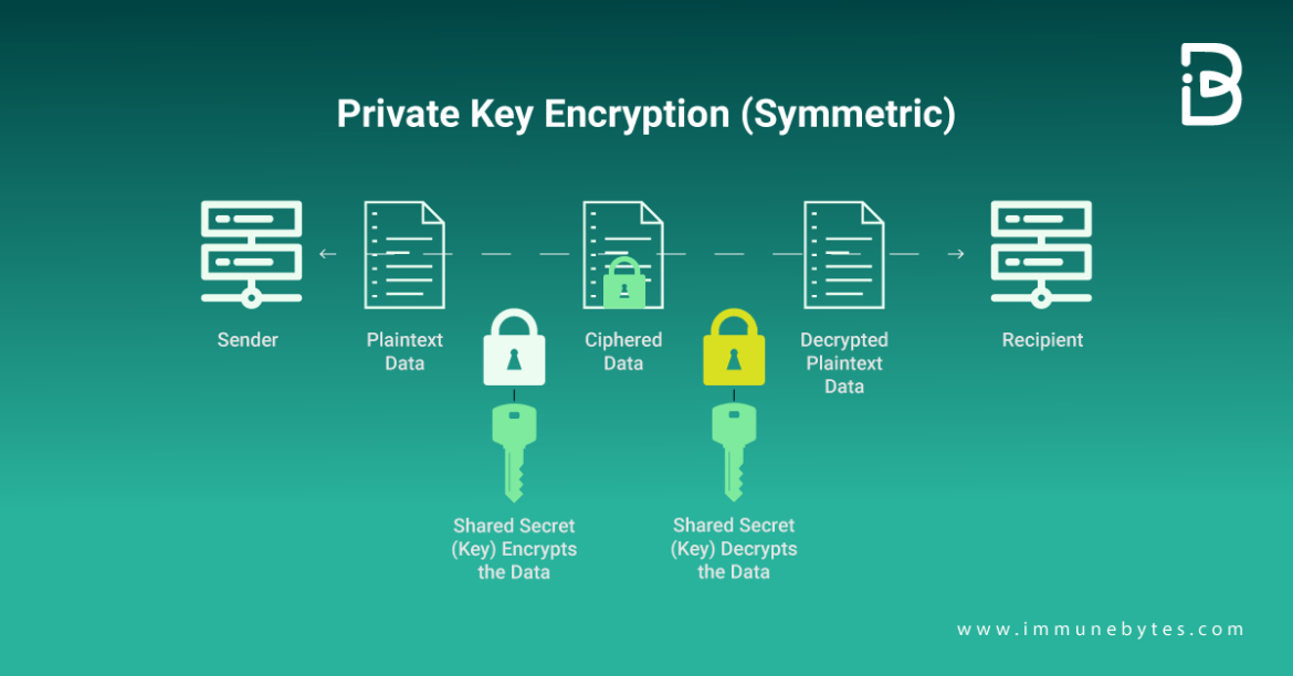 Public and Private Keys: A Must Know In Cryptography! – ImmuneBytes