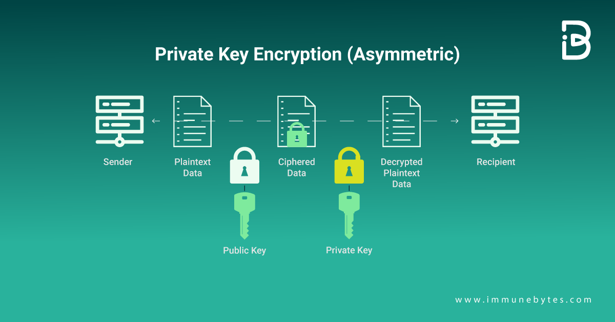 Public and Private Keys: A Must Know In Cryptography! – ImmuneBytes
